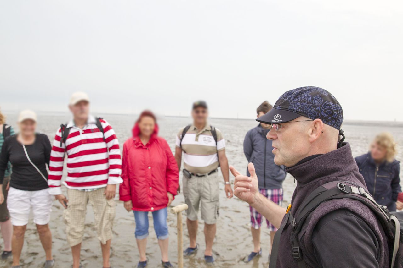 Wattwanderungen im UNESCO-Weltnaturerbe Wattenmeer
