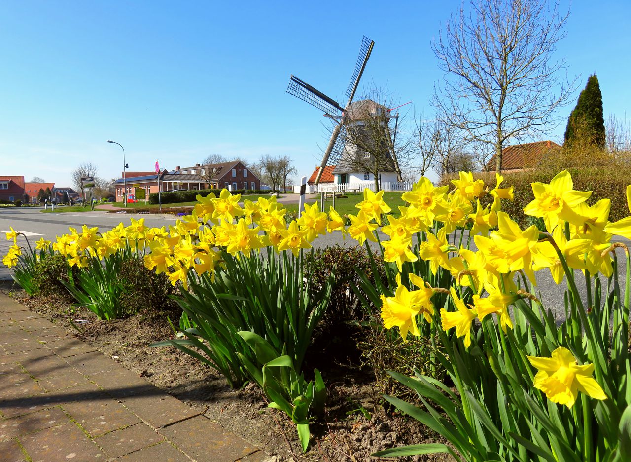 Ortsteile und Nachbarorte